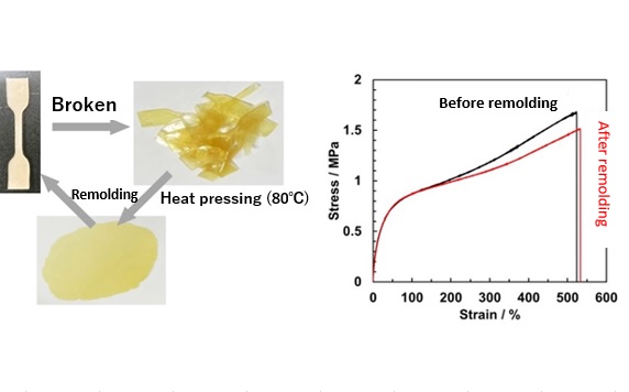 Development of technology to produce highly functional plastics using ...
