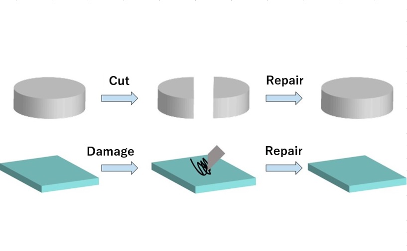 Development of technology to produce highly functional plastics using ...
